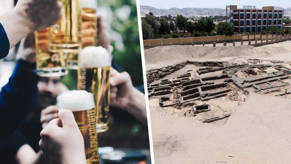 Arkeologlar 5 bin yıllık dev bir bira fabrikası keşfetti | soL haber