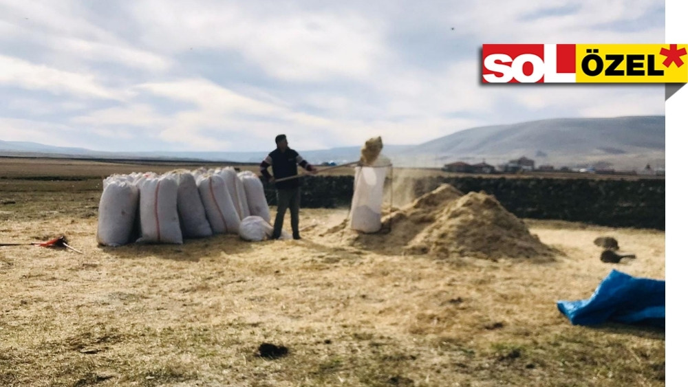Türkiye kışı böyle karşılıyor: Doğalgaz hayal, kömür ve odun çok pahalı ...
