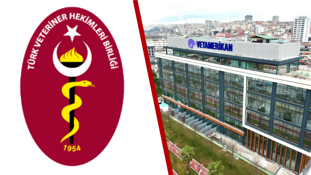 Veteriner hekimlerden Koç'un hayvan hastanesine tepki: 'Haddini aşan ...