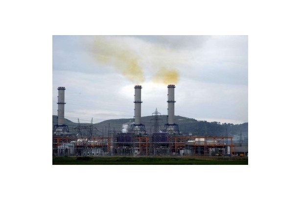 Santral karşılığı 300 zeytin ağacı | soL haber