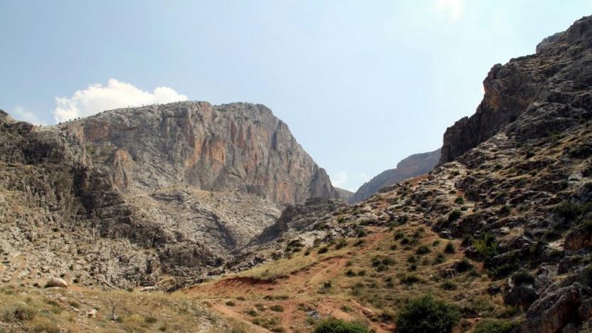 Suriye ordusu Lazkiye'de operasyon düzenledi | soL haber